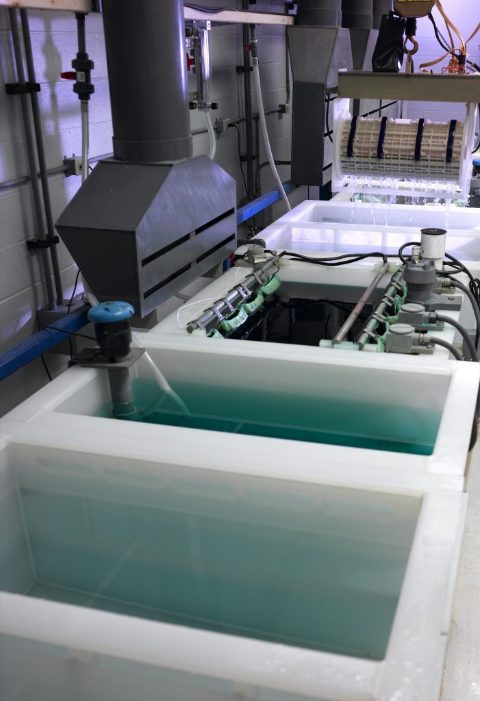 Custom Spring Surface Coatings & Their Importance - Ace Wire Spring ...